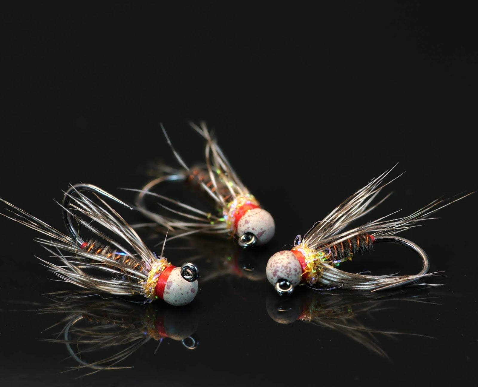 The Americanchie – Fly Fish Food