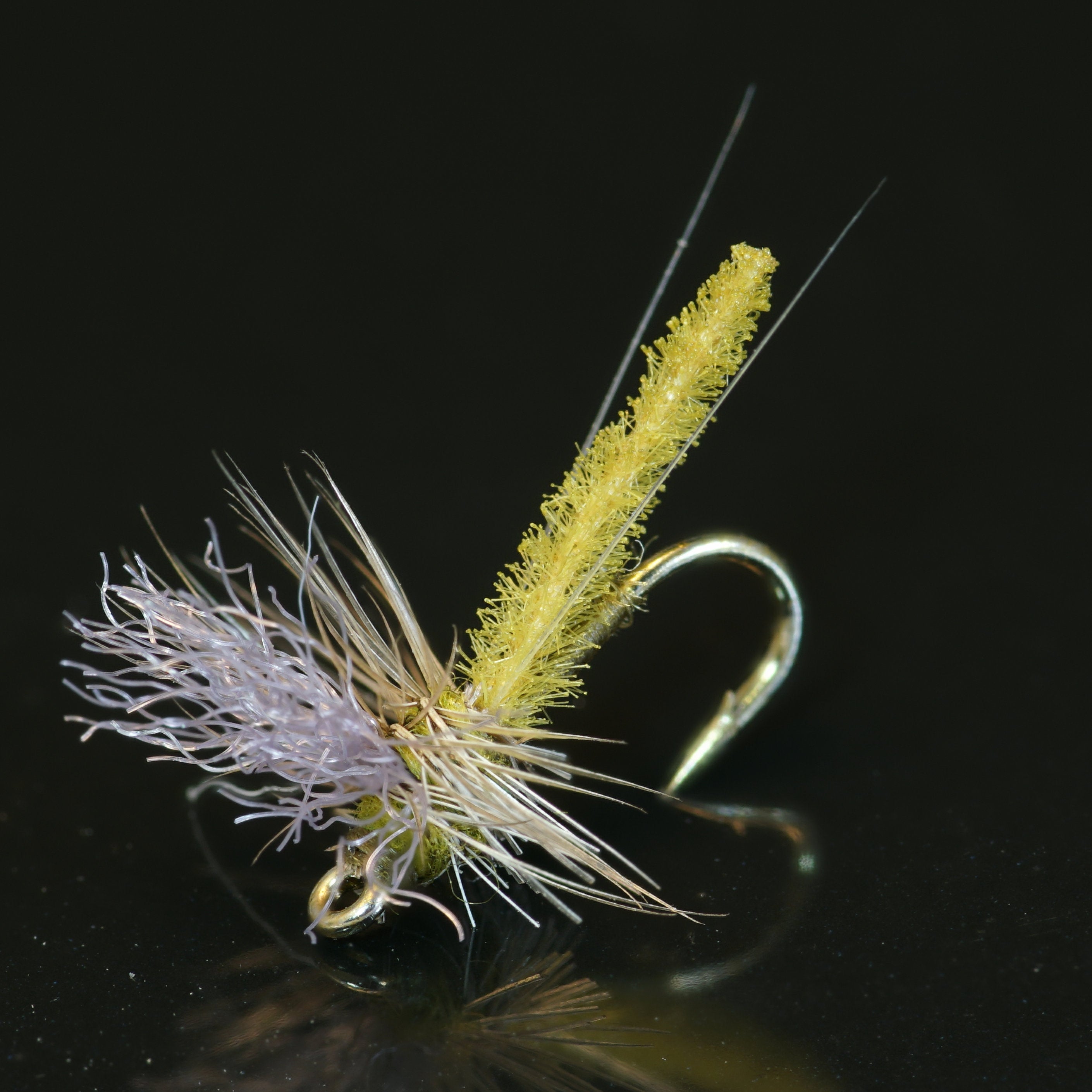 Better Baetis – Fly Fish Food
