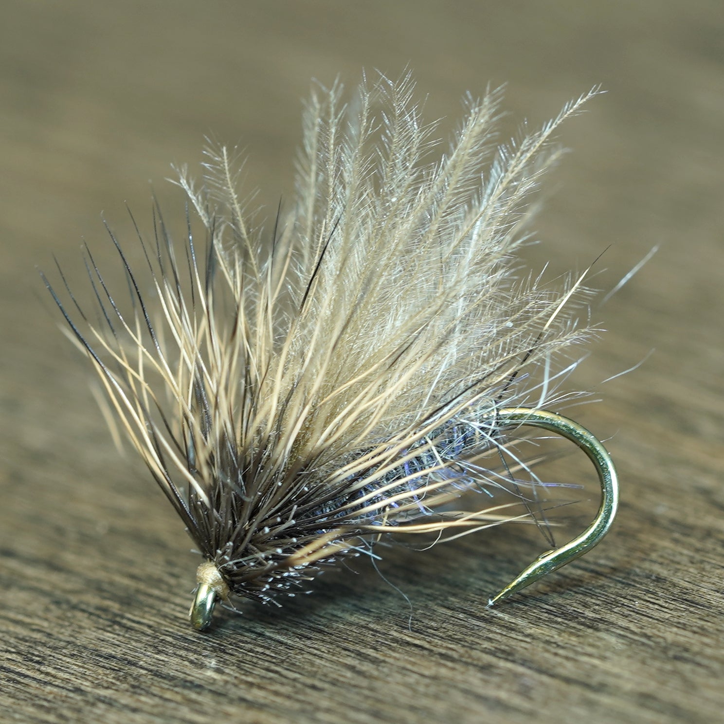 CDC Deer Caddis – Fly Fish Food