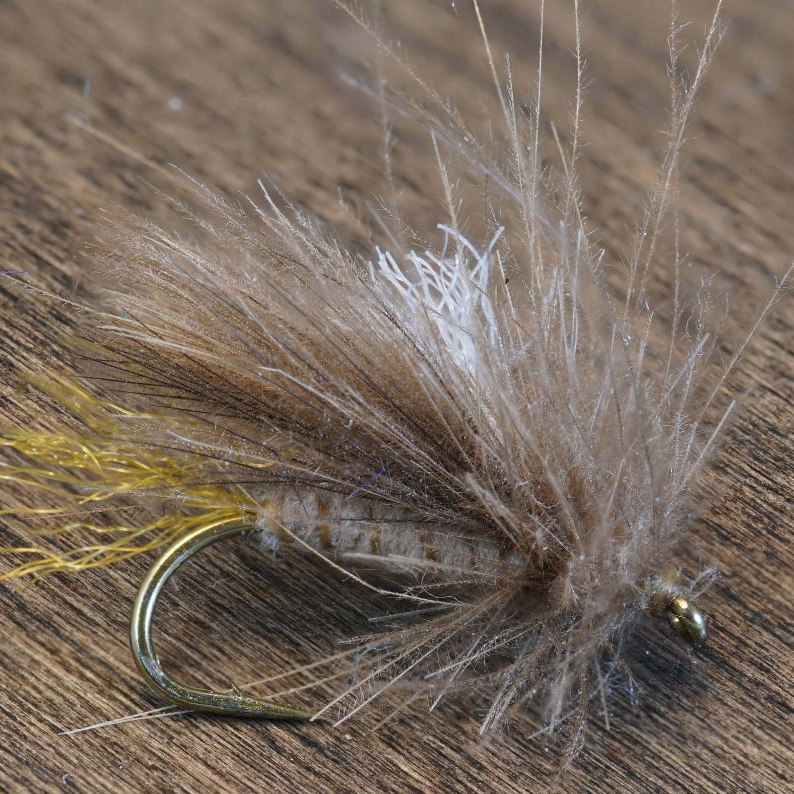 Corn Fed Caddis – Fly Fish Food