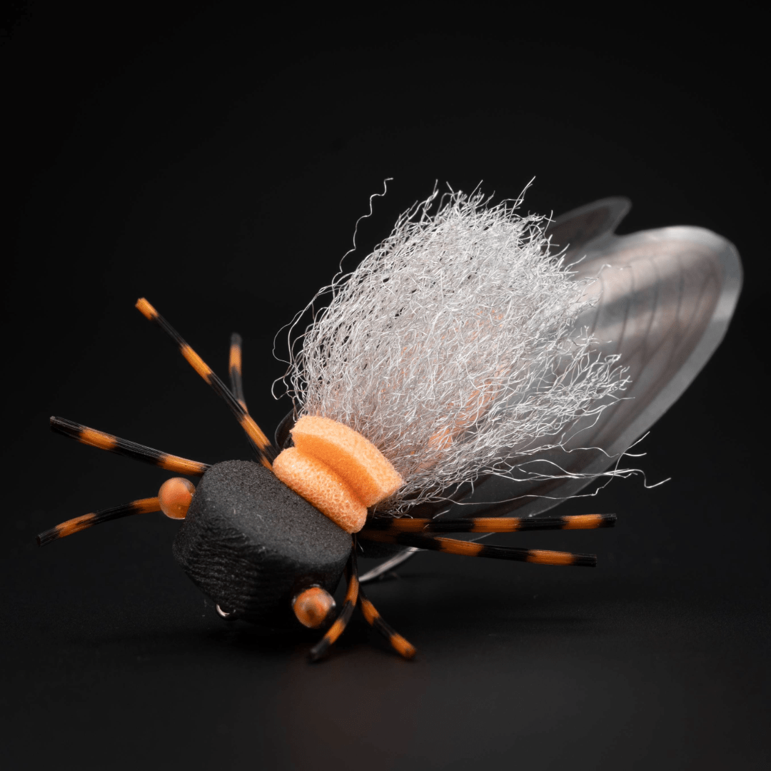 Cheech's Periodical Cicada – Fly Fish Food