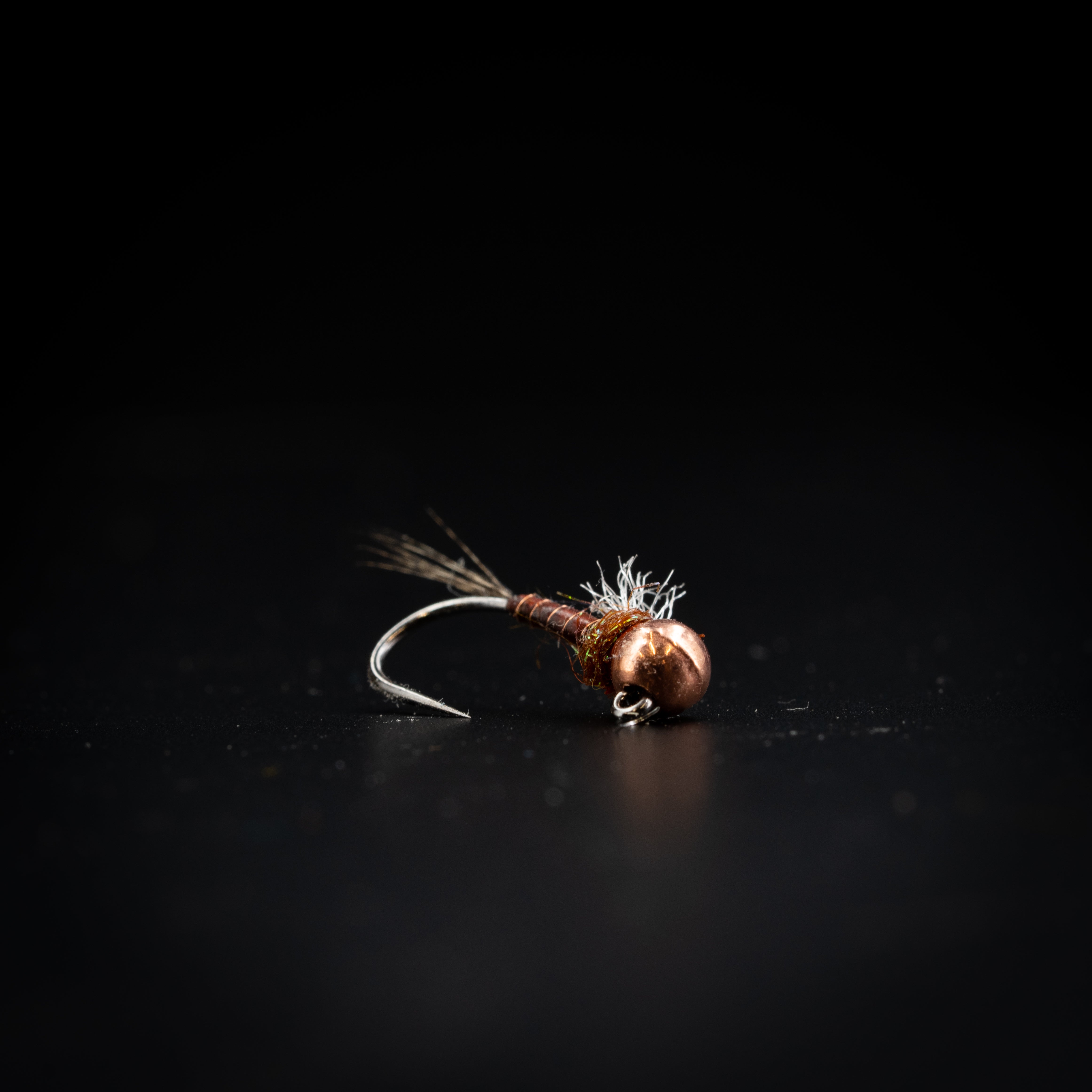 Daily Fly – Fly Fish Food