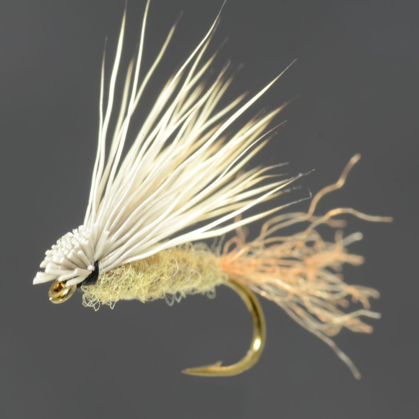 X Caddis – Fly Fish Food