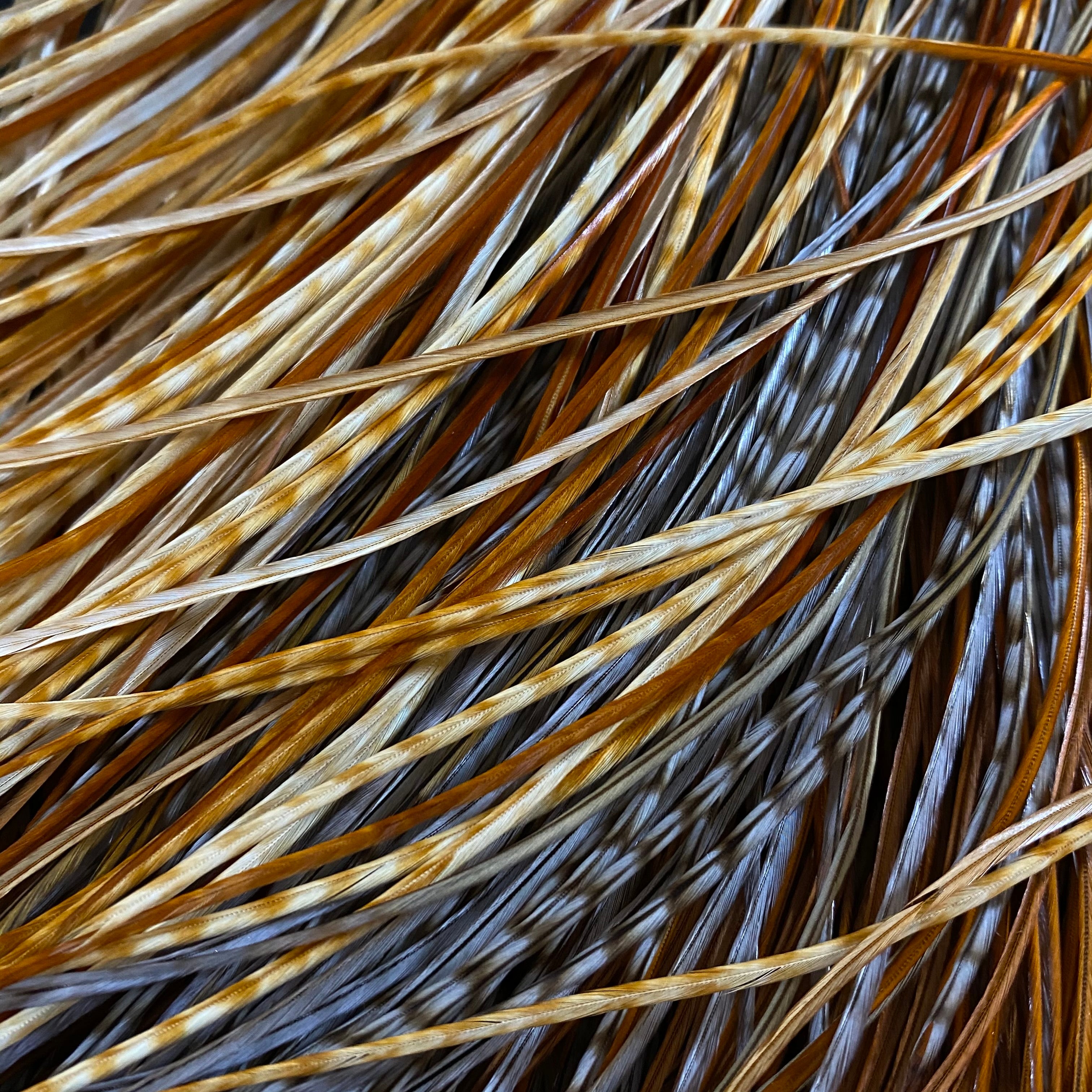 Hackle – Fly Fish Food