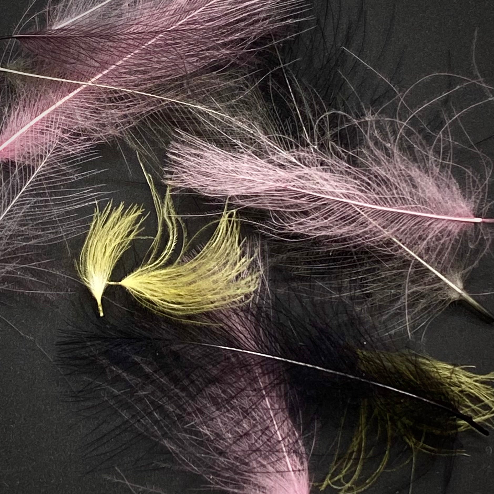 Fly Tying CDC & Soft Hackle – Fly Fish Food