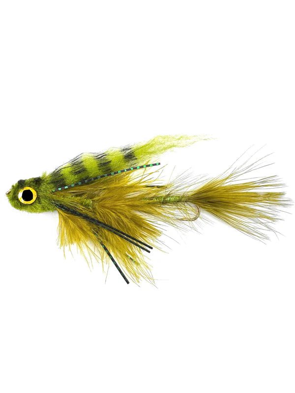 Gonga - Olive – Fly Fish Food