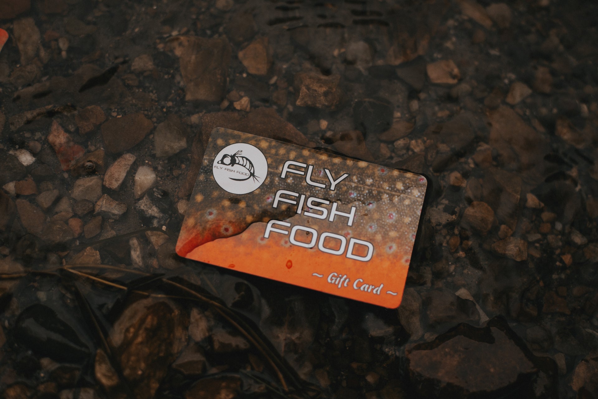 Fly Fish Food