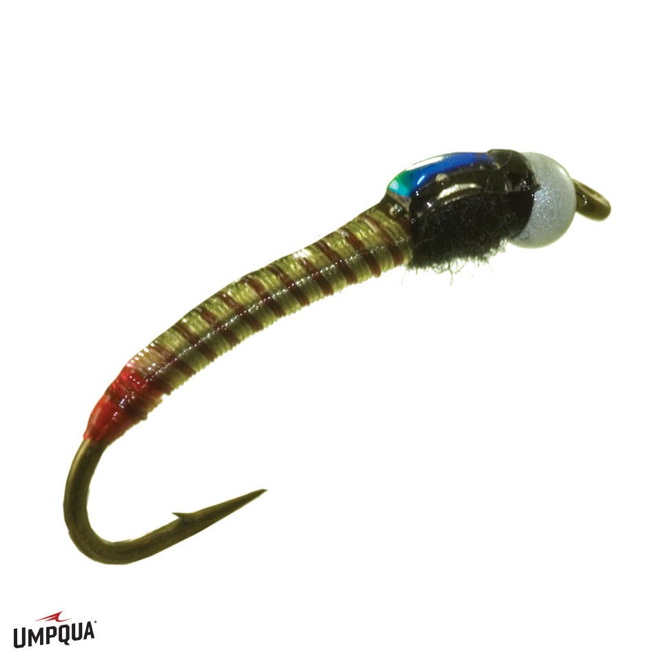 Jumbo Juju Chironomid – Fly Fish Food