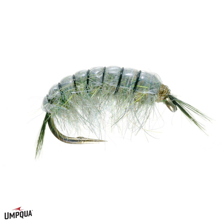 Kaufmann's Scud Gray Olive – Fly Fish Food