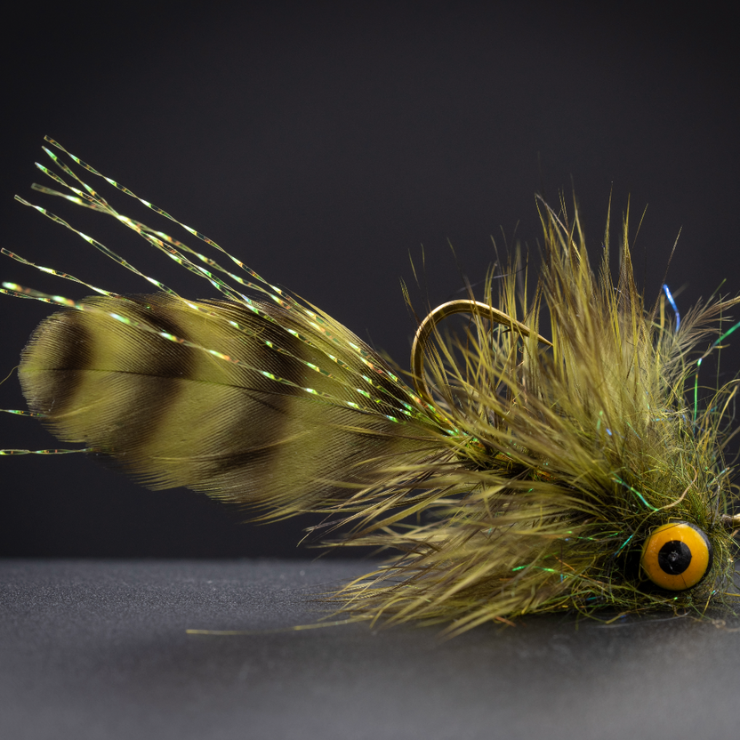 Fly Fish Food