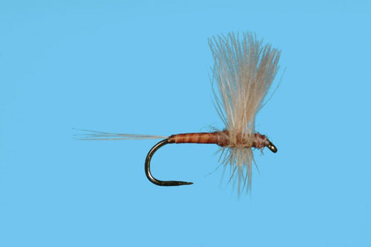 Harrop's CDC Thorax - Pink Albert – Fly Fish Food